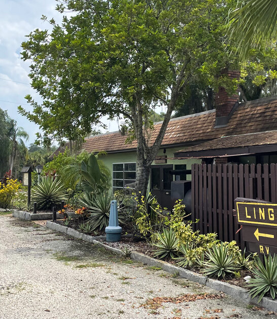 restaurant frog legs florida ftr