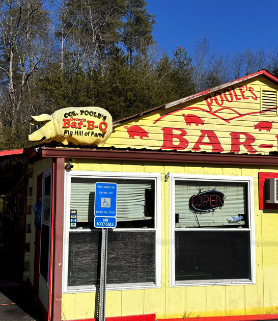 restaurant georgia brunswick stew ftr