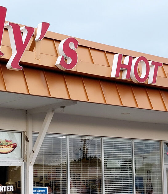restaurant illinois hot dogs ftr