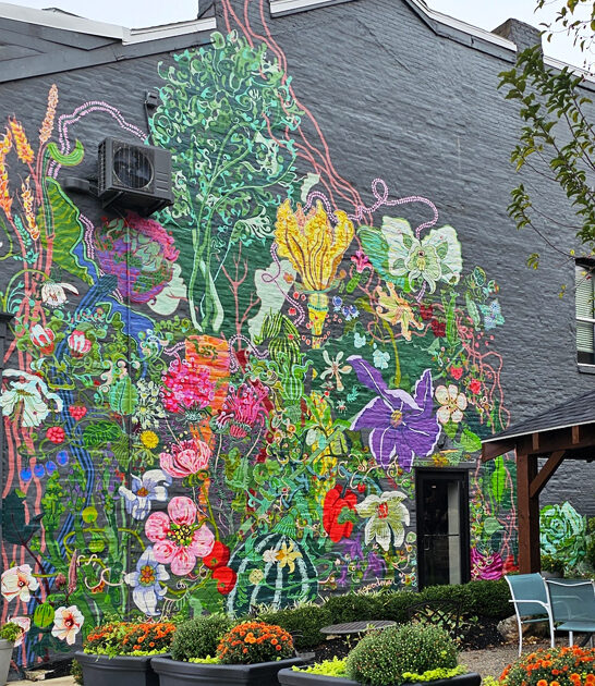 restaurant west virginia wondrous ftr