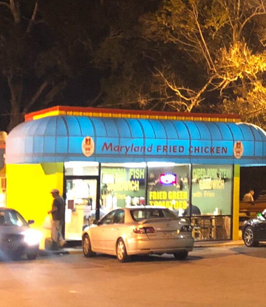 restaurants fried chicken georgia ftr
