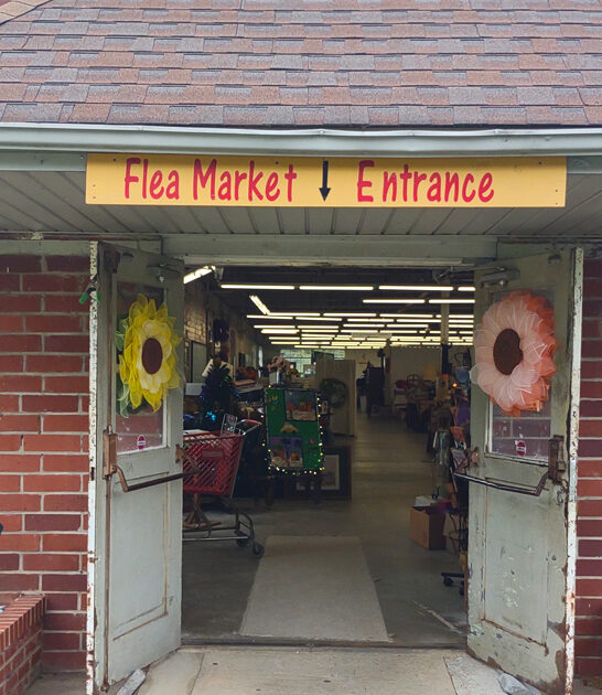 rethink georgia budget flea ftr