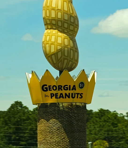 roadside attraction georgia unlike ftr