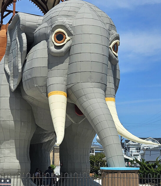 roadside attraction new jersey ftr