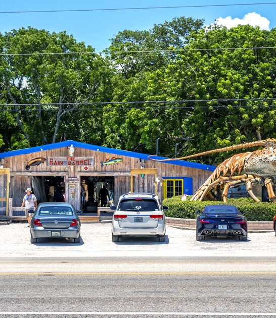 roadside funky attraction florida ftr