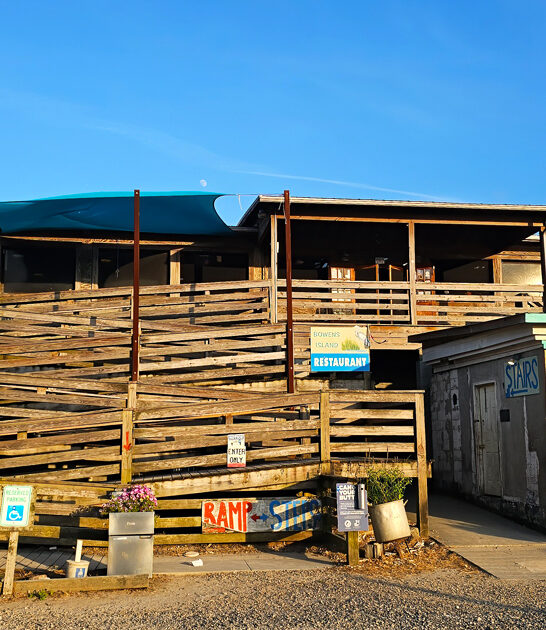 roasted oysters south carolina ftr