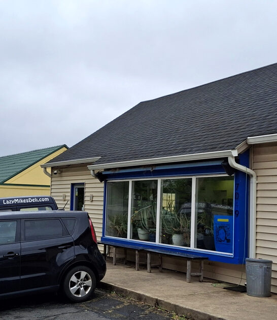 sandwich shops virginia delicious ftr
