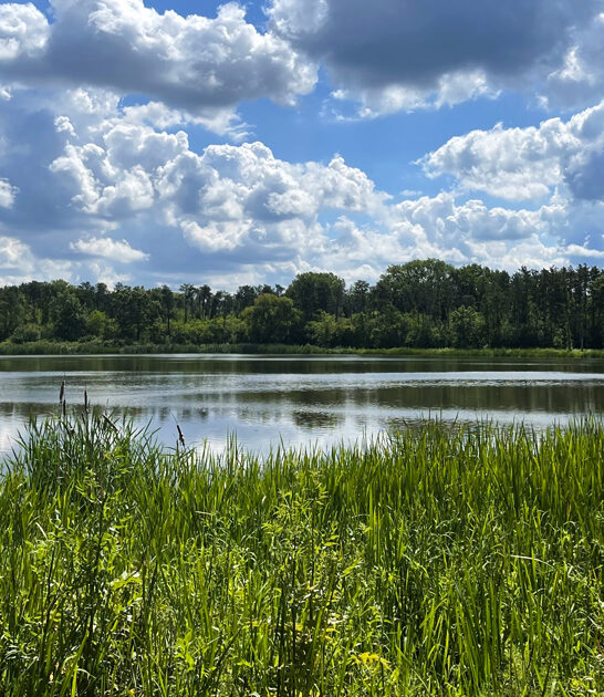 scenic illinois nature preserve ftr