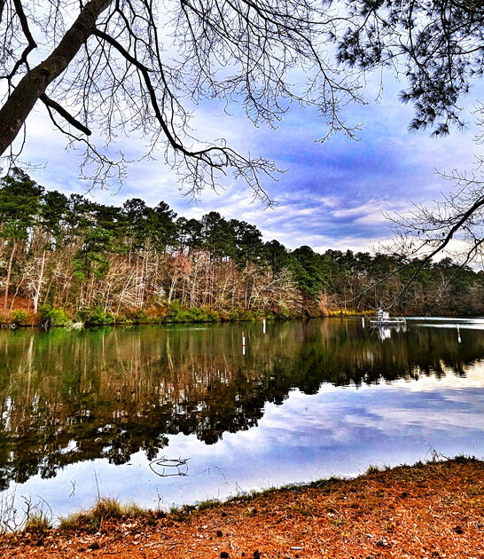 scenic north carolina park ftr