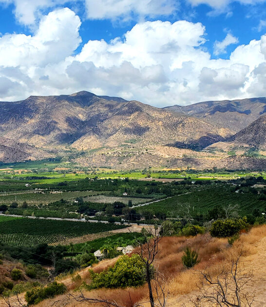 scenic overlook california postcard ftr