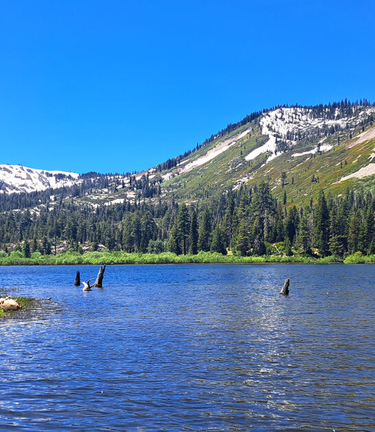 scenic park california hidden FTR