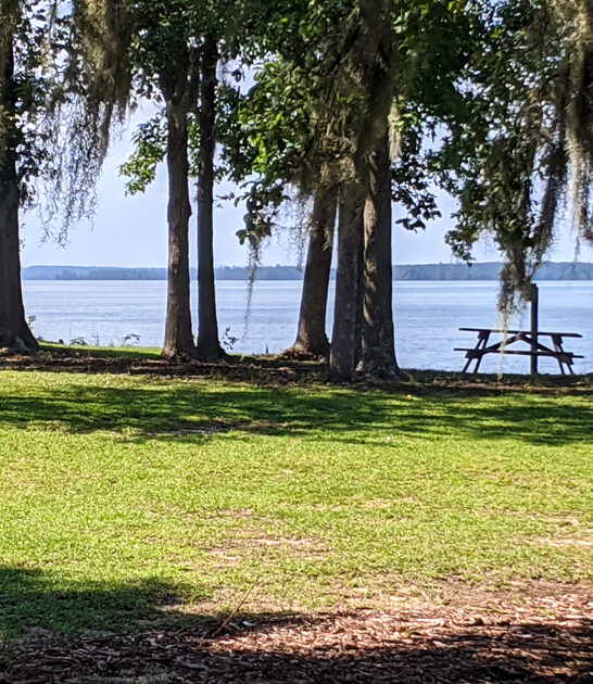 scenic south carolina park ftr