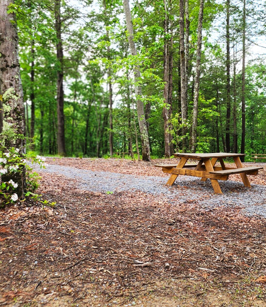scenic west virginia park ftr