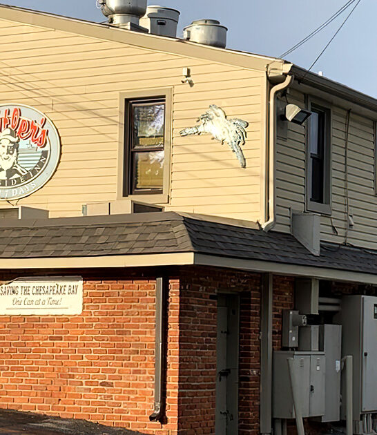 seafood shacks maryland unassuming ftr