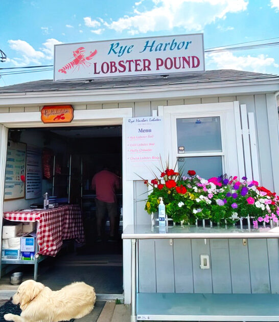 seafood shacks new hampshire ftr