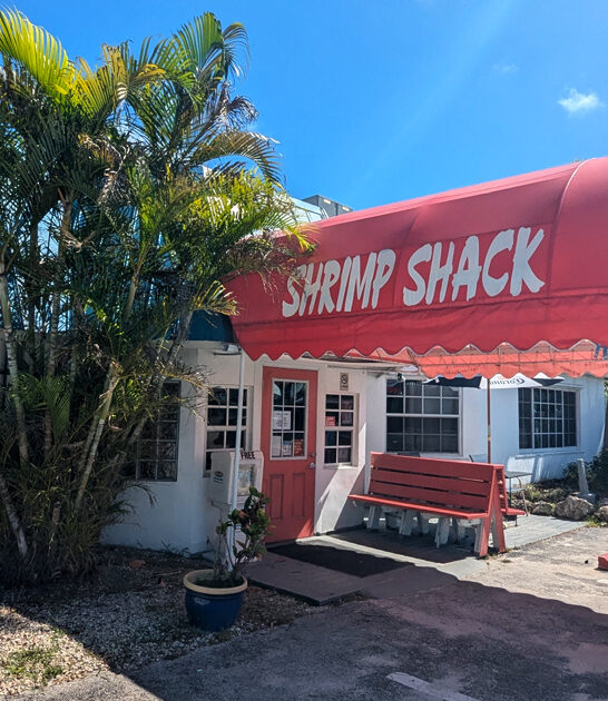 seafood shrimp shack florida ftr