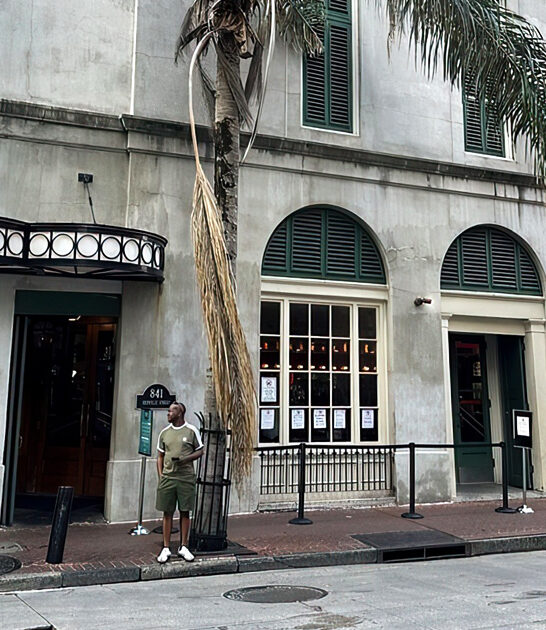 seafood spots louisiana trip ftr