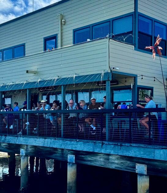 seaside california yellowtail fish ftr