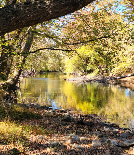 secluded beauty park virginia ftr