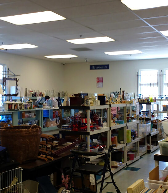 secondhand gigantic california shop ftr