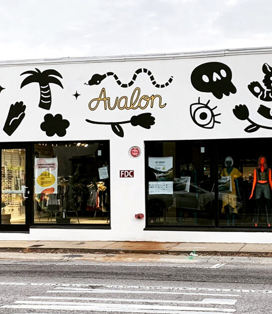 secondhand shop astounding florida ftr