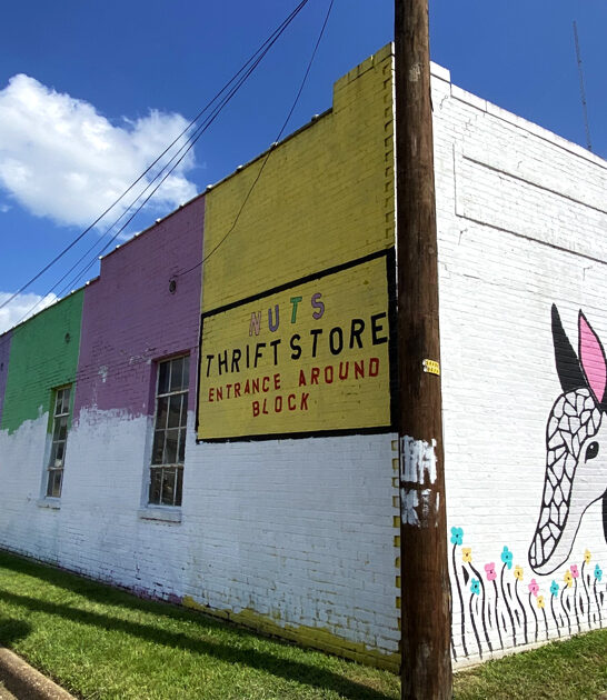 secondhand shop mississippi dream FTR