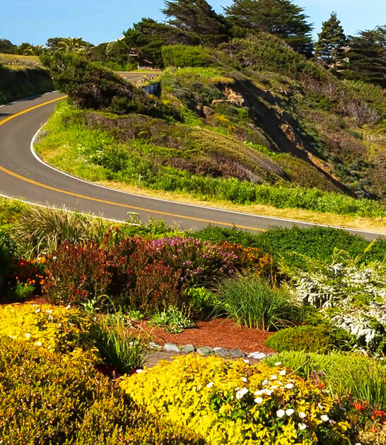 secret road trip california ftr