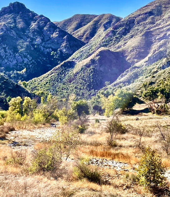 secretive state park california ftr