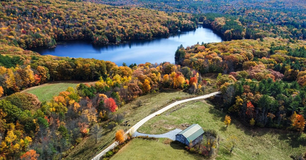 This Postcard-Worthy State Park In New Hampshire Is Perfect For Stress ...