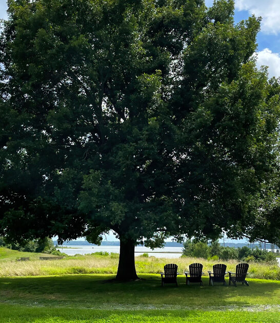 serene state virginia park ftr