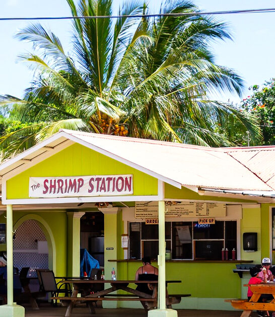shack hawaii tacos fish ftr