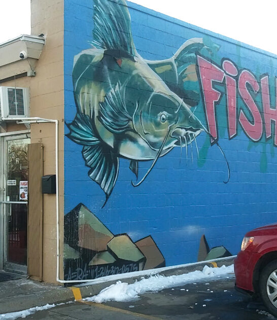 shack kansas catfish filets FTR