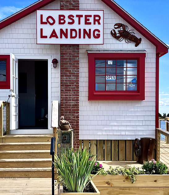 shacks connecticut lobster rolls ftr