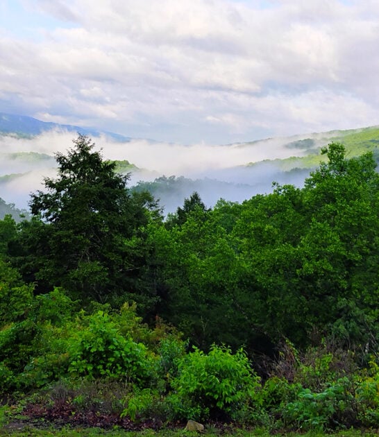 shockingly underrated kentucky park ftr