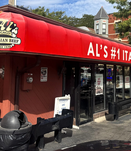 shop illinois chicago dog FTR