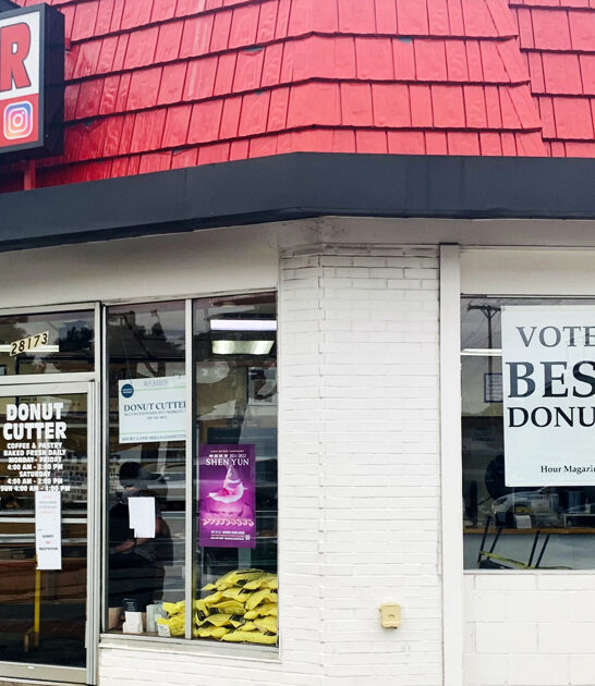 shop michigan donut unassuming ftr