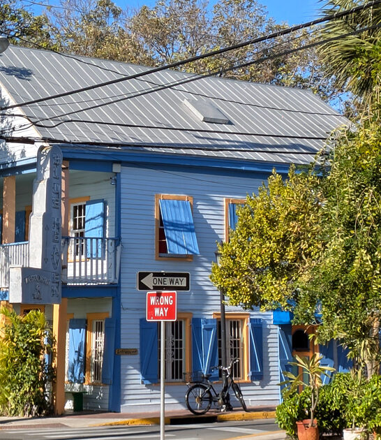 shrimp hiding inside florida ftr