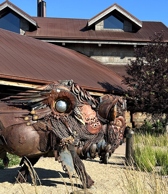 sirloin tips south dakota ftr