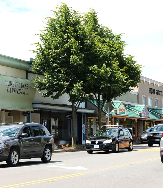 slow paced washington town ftr