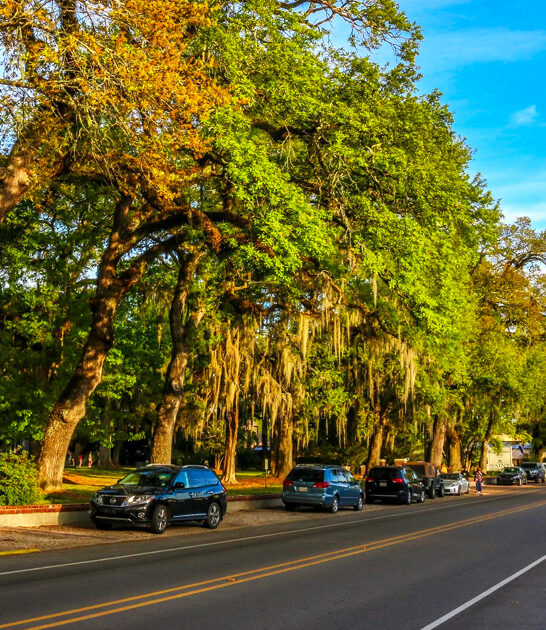 slow towns louisiana perfect ftr