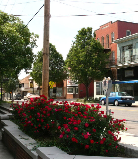 small maryland affordable wonder ftr