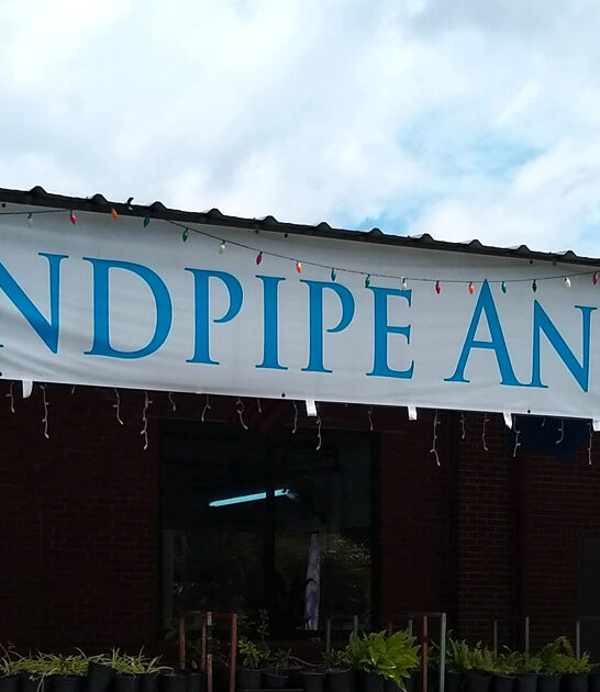 south carolina antique finds ftr