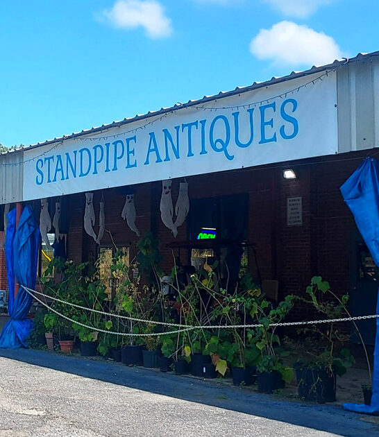 south carolina antique treasure ftr