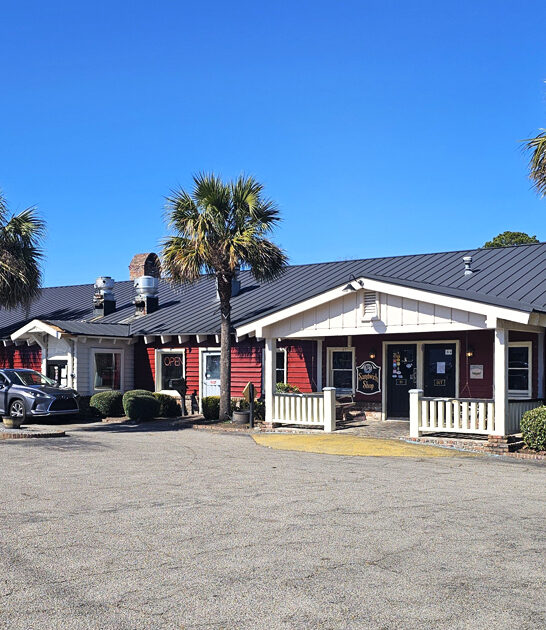 south carolina bbq fries ftr
