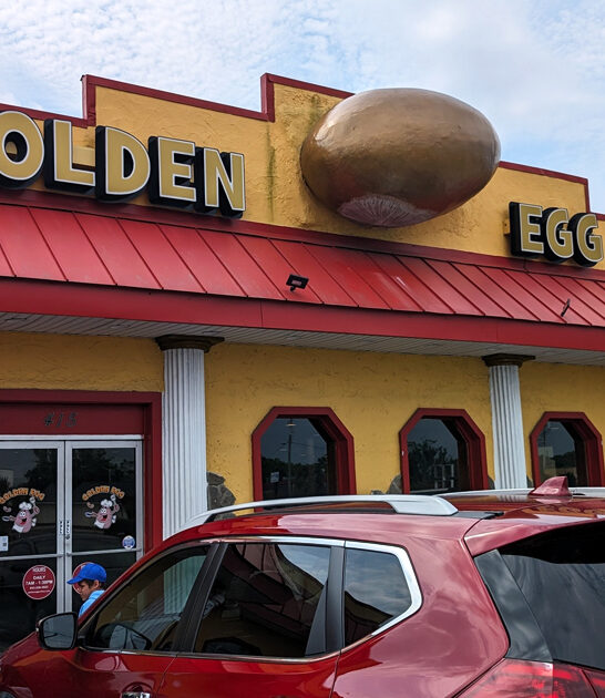 south carolina beef chipped ftr