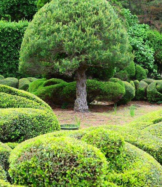 south carolina breathtaking garden ftr