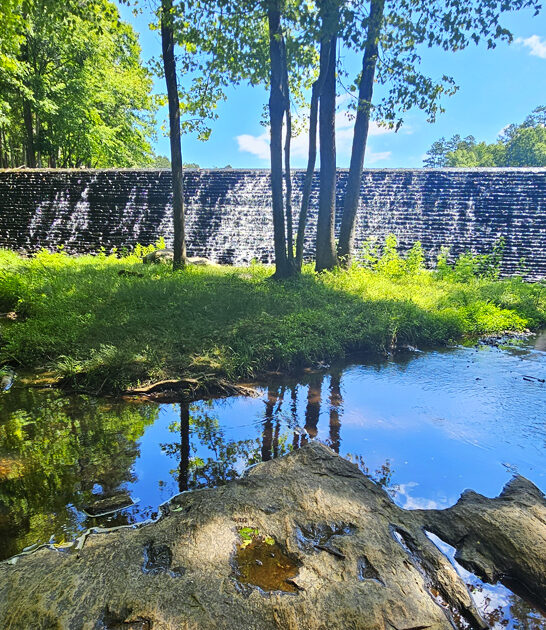 south carolina park postcard ftr