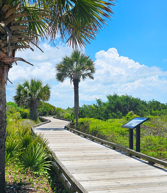 south carolina park serene ftr