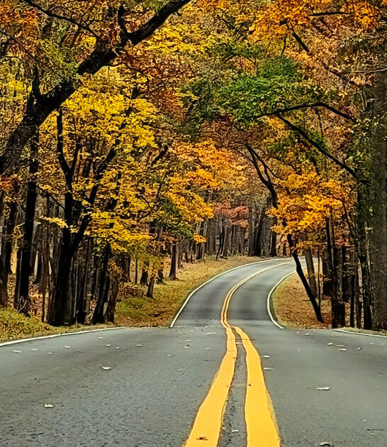 south carolina picturesque park ftr
