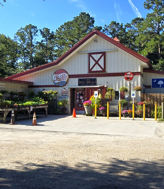 south carolina restaurants chicken ftr